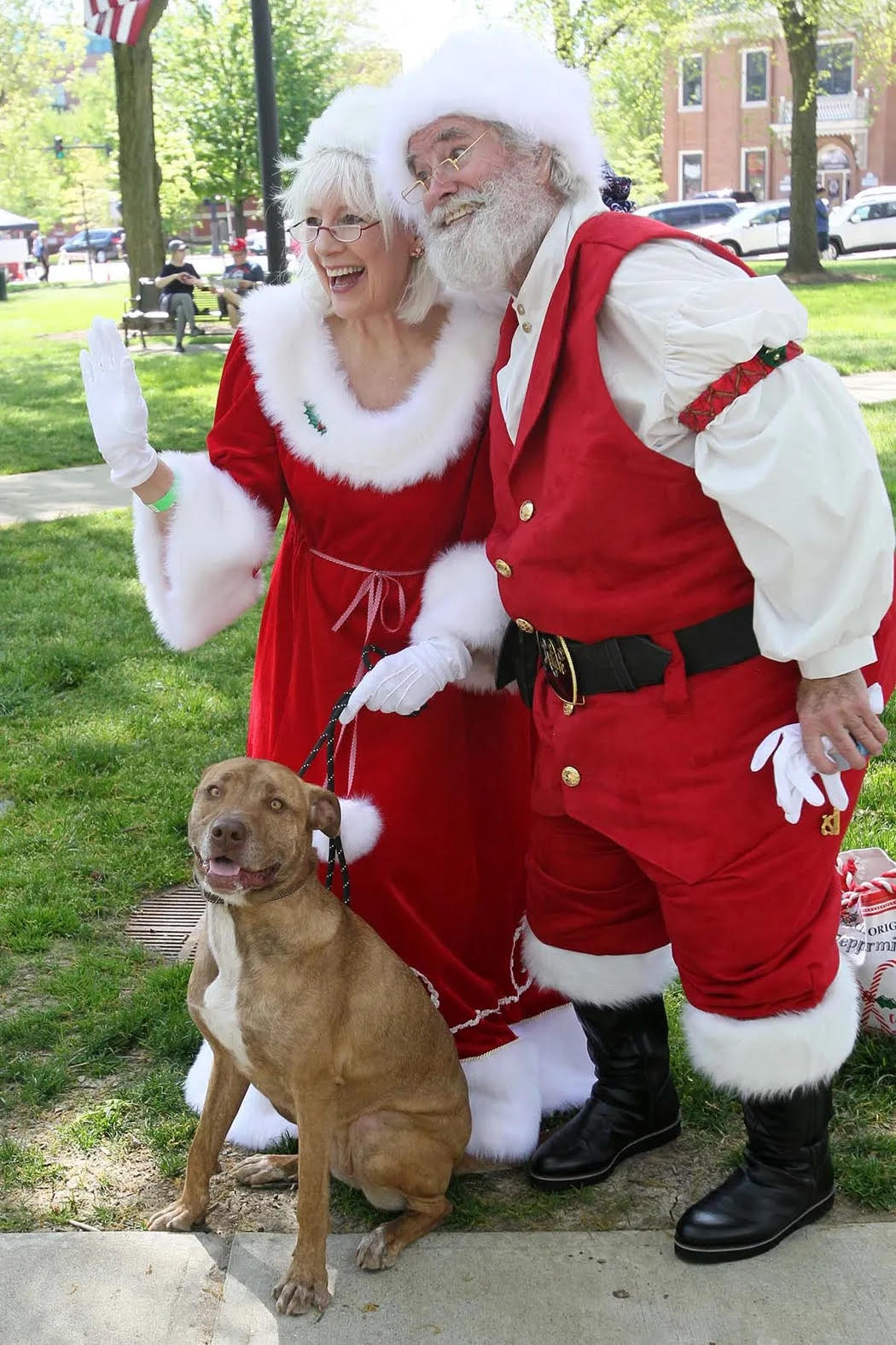 Santa for Hire Chicago - Western Suburbs, La Grange Illinois